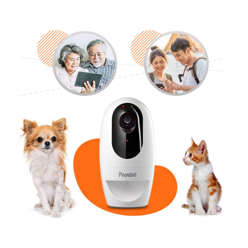 寵物攝影機怎麼選？從功能到資安全面解析，守護毛孩與你的安心！ - Fluv毛小愛｜用愛照顧每一個毛小孩
