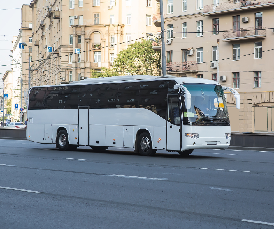 客運可以帶寵物嗎？2025最新客運寵物乘車規範總整理！放心帶著毛孩出遊去！ - Fluv毛小愛｜用愛照顧每一個毛小孩