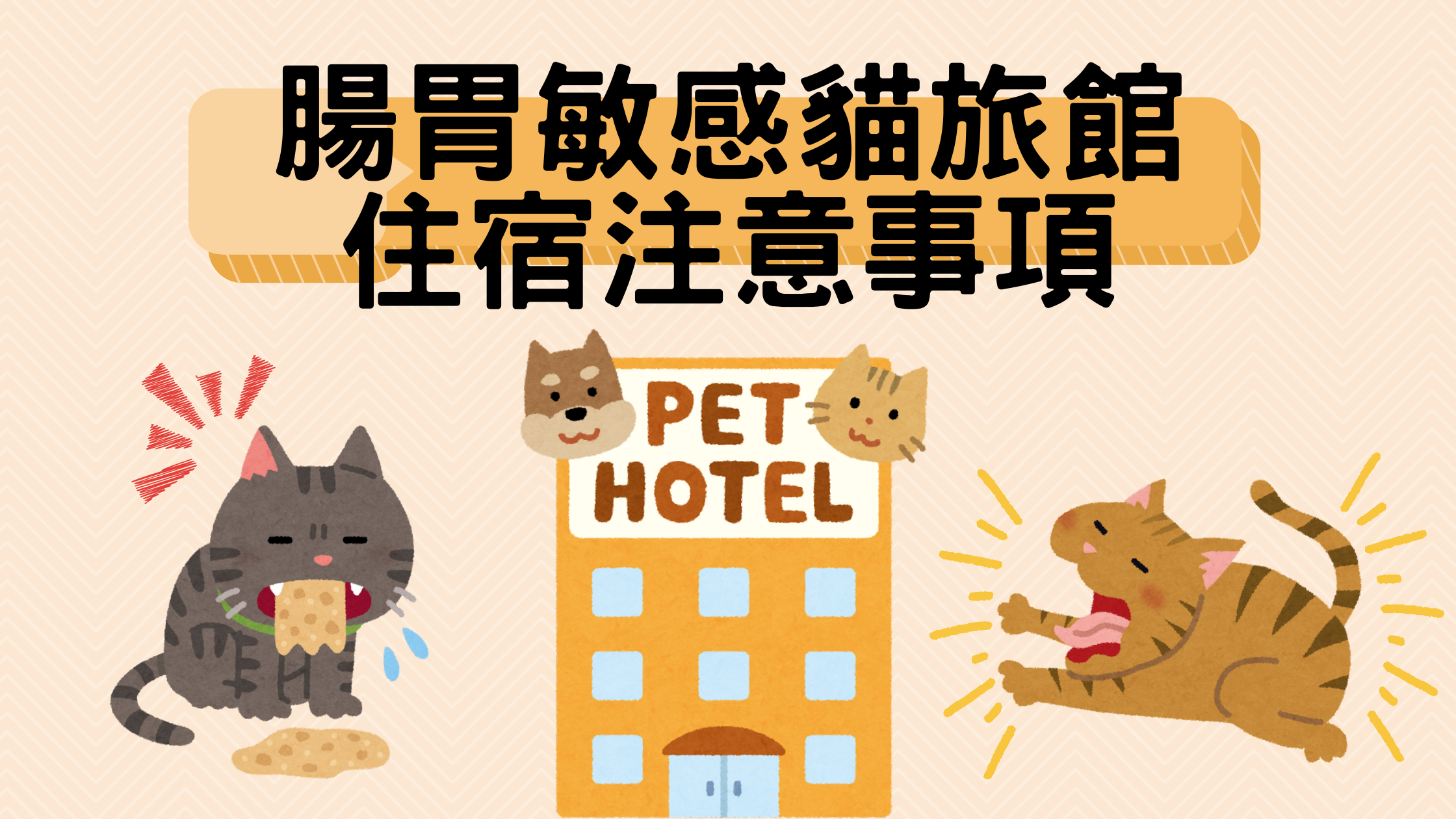 【腸胃敏感貓旅館】容易吐毛或拉肚子的貓咪住宿注意事項 - Fluv毛小愛｜用愛照顧每一個毛小孩
